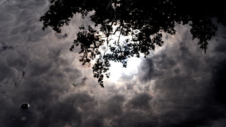 Sun and tree reflection in a pool - Patryk Frey - Photography ...