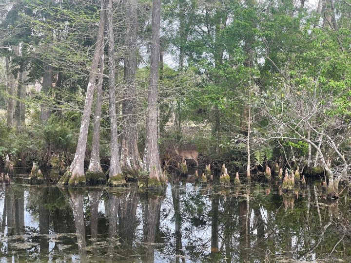 Riverbend Park - Paintings, Poetry and Photography by Neil Primack ...