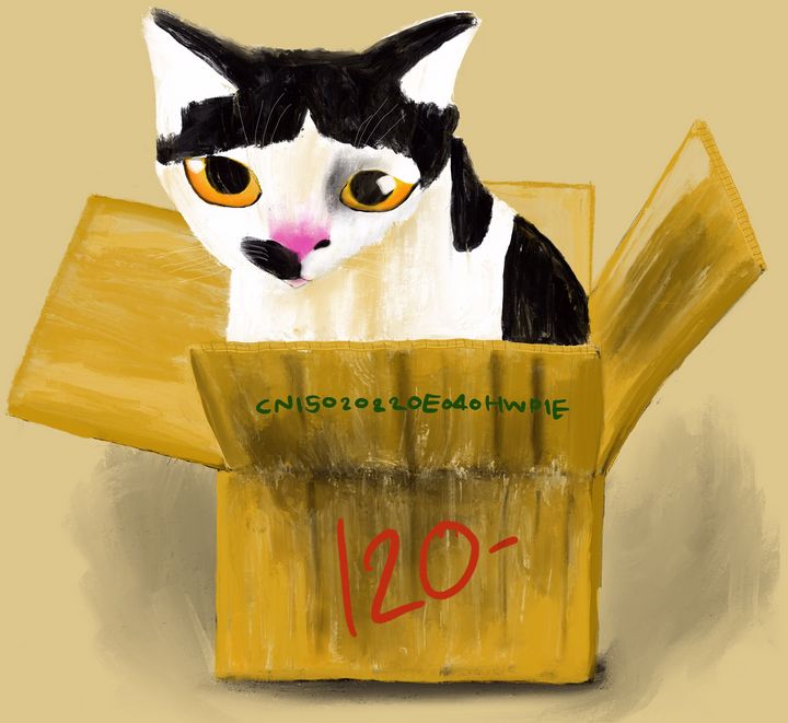 Cat in the box. - The art lover - Paintings & Prints, Animals, Birds ...