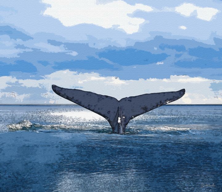 whale tail - Art Freak - Digital Art & AI, Animals, Birds, & Fish ...