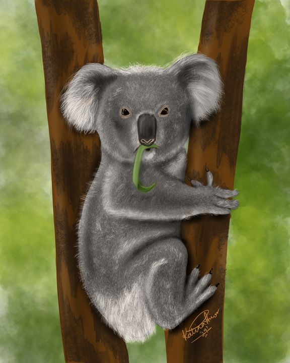 Koala digital painting - Katina Prior Illustration - Digital Art & AI ...