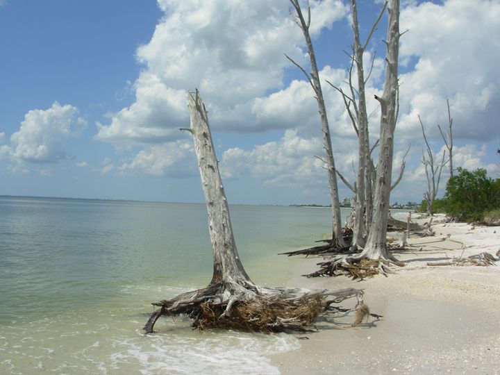 Lovers Key State Park - My Favorite Photos - Photography, Landscapes ...