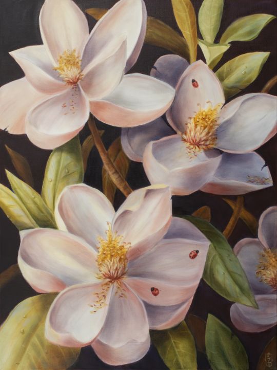 Magnolias - Marsha Bowers Fine Art - Paintings & Prints, Flowers ...
