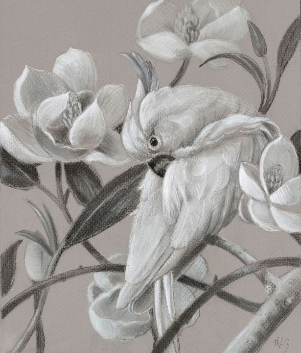 Parrot with Magnolias Drawing - Marsha Bowers Fine Art - Drawings ...