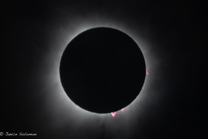Waco Eclipse 2024 2 - Creative Artistry by Janice Solomon - Photography ...