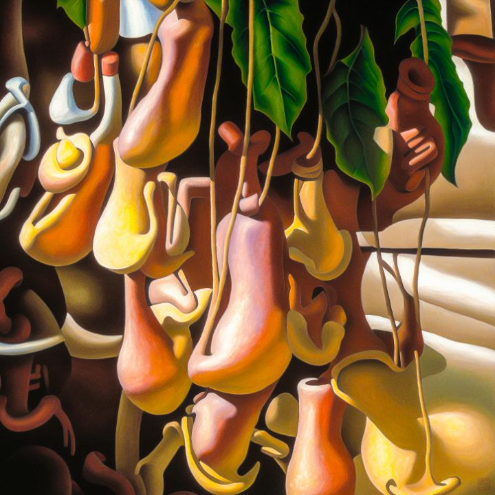 Pitcher Plant - Paintings - Paintings & Prints, Flowers, Plants ...