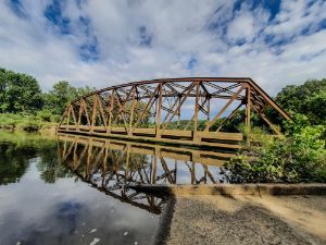 Wildflower Photography - Photography
