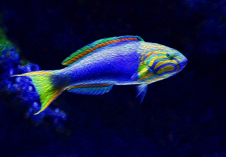 Blue Vibrant Fish - ROYGBIV Thrift Art - Digital Art & AI, Animals ...