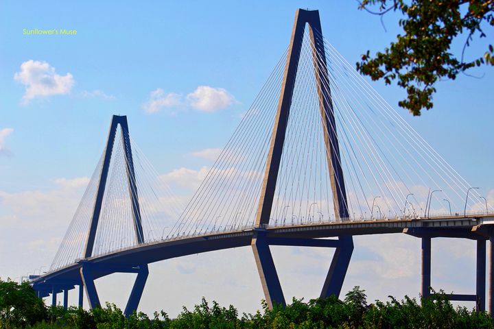Ravenel Bridge - Sunflower’s Muse - Photography, Buildings ...