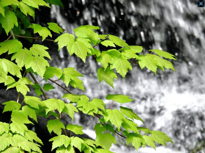 WATERFALL EFFECT - Vision X - Photography, Landscapes & Nature, Seasons ...