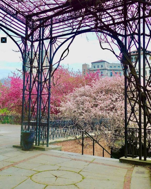 CENTRAL PARK GARDEN - Vision X - Photography, Landscapes & Nature ...