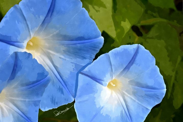 Summer Blues - Shadow and Form - Photography, Flowers, Plants, & Trees ...