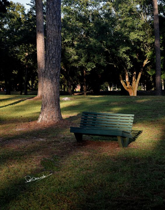 Mississippi Park Bench - Shadow and Form - Photography, Landscapes ...