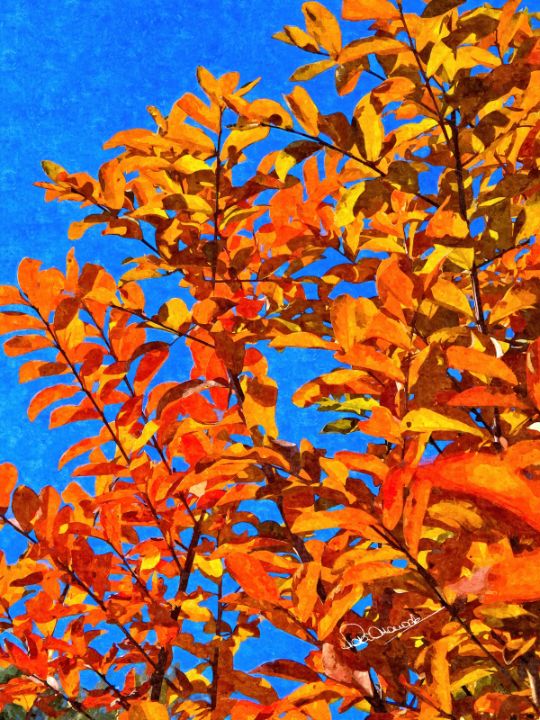Autumn Blast - Shadow and Form - Photography, Landscapes & Nature ...