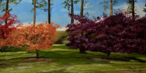 Ajay Ravindran - Paintings & Prints, Drawings & Illustration, Photography