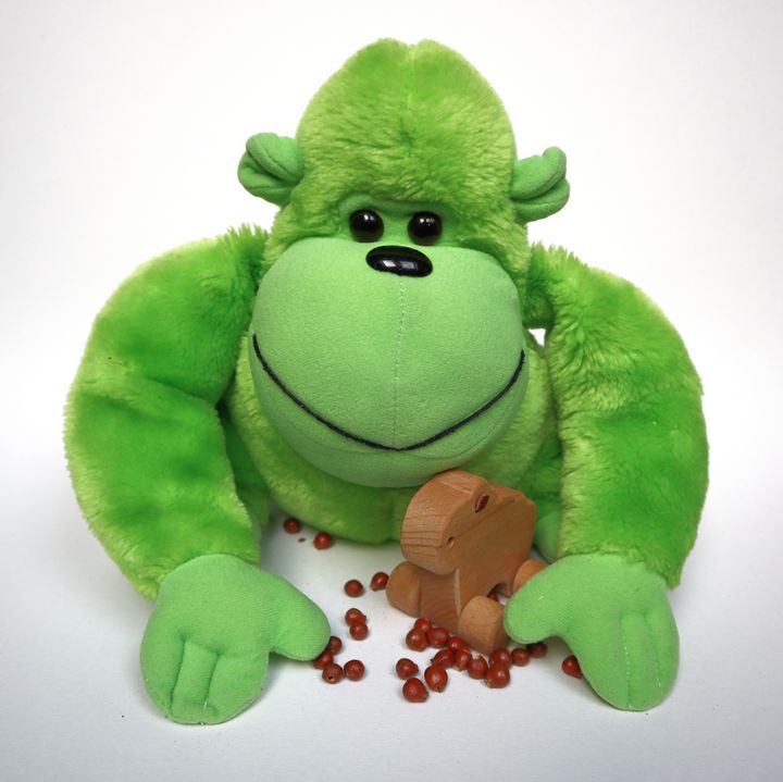 Friends monkey and sheep 1 - ART PRO STUDIO, Sylva Jadrna - Photography ...
