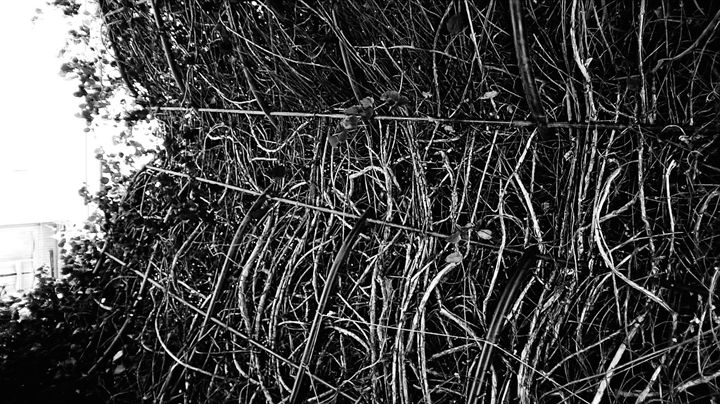 REZ INC. - Digital Art & AI, Drawings & Illustration