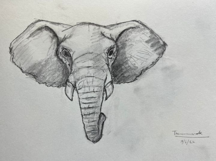 Elephant - Thammarak Phuphakdee - Drawings & Illustration, Animals ...