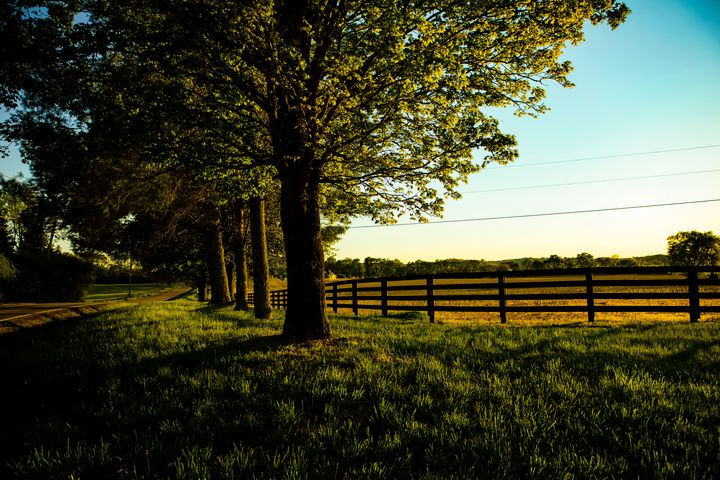 Tennessee Sunset - The Amanda Lynn Photography - Photography ...