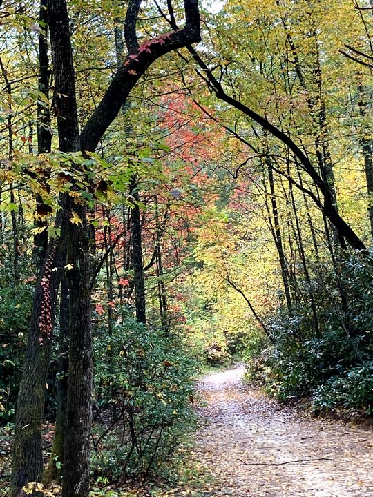 Great Autumn Colors on trail - Naturefoodpets - Photography, Landscapes ...