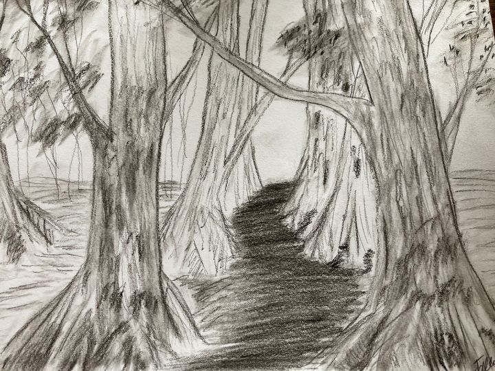 Charcoal pathway through the trees - Tftinsu - Drawings & Illustration ...