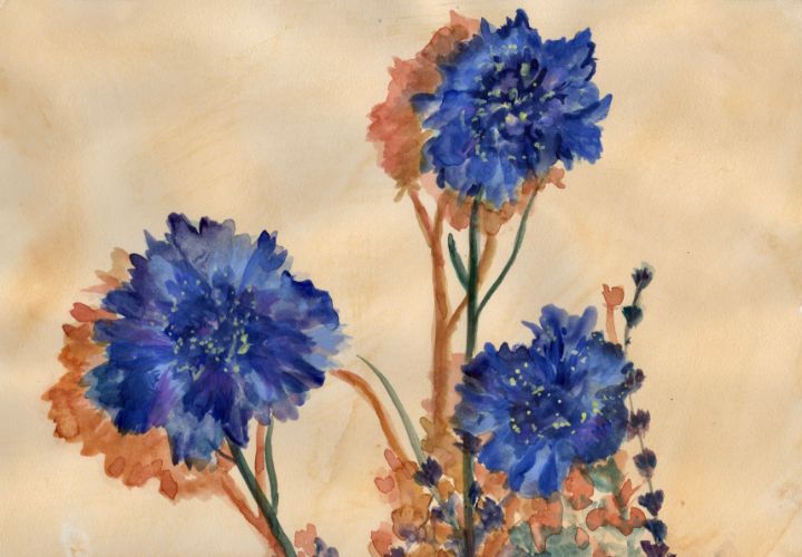 Lisa Murphy - Paintings & Prints