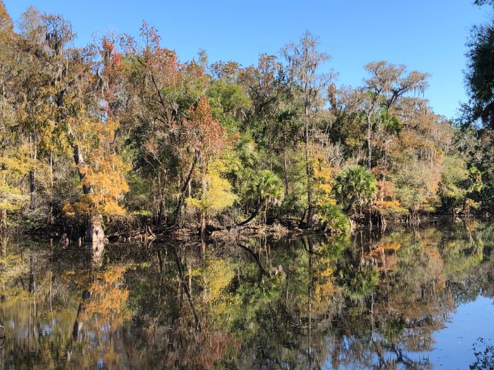 autumn in florida - Wildercountry - Photography, Landscapes & Nature ...