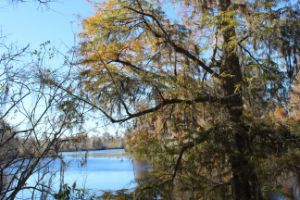 Wildercountry - Photography