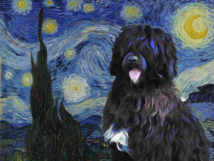 Portuguese Water Dog Starry Night - NobilityDogs - Paintings & Prints ...