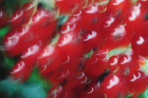 SH Photo - Photography