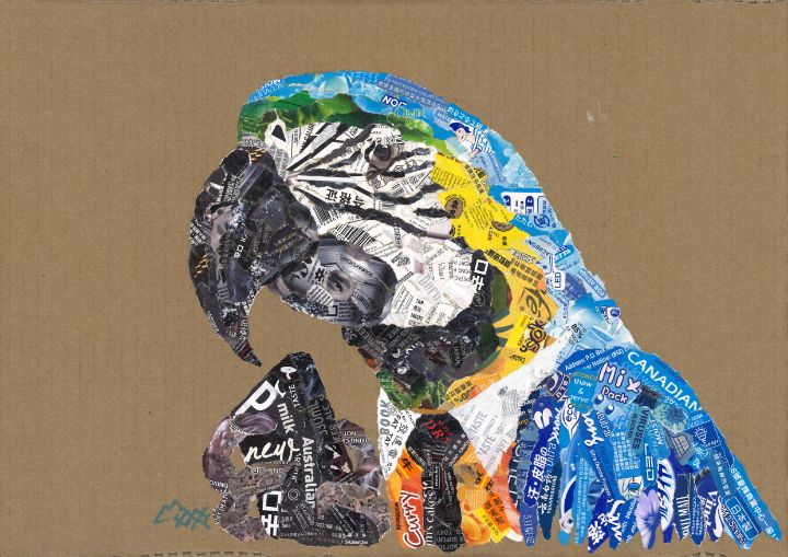 PAPER MACAW - Milk DoNg - Drawings & Illustration, Animals, Birds ...