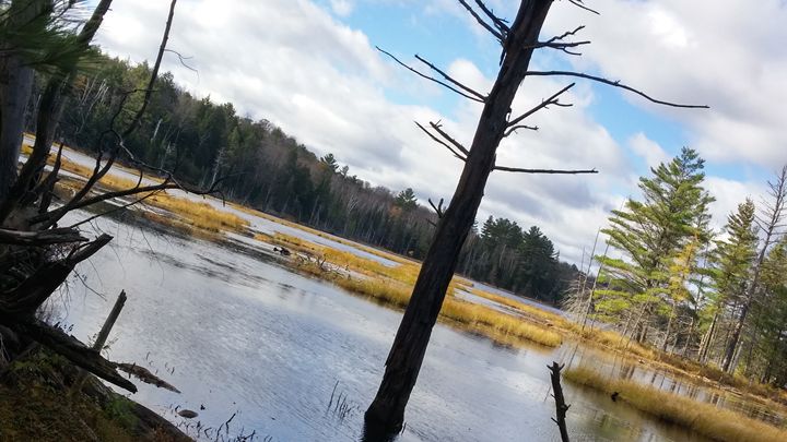 Pond in an angle - iGallery - Photography, Landscapes & Nature, Lakes ...