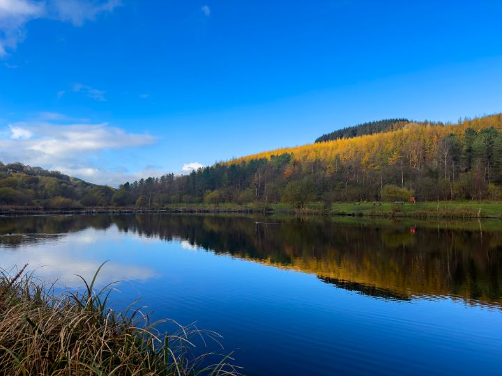 Deri Park Wales - Gra'z PHOTOS - Photography, Landscapes & Nature ...