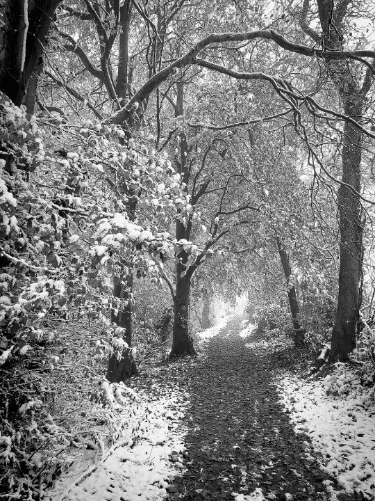 Snowy Monochrome Cotswolds - Gra'z PHOTOS - Photography, Landscapes ...