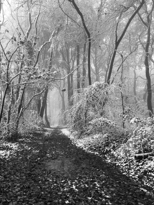 Snowy Monochrome Cotswolds - Gra'z PHOTOS - Photography, Landscapes ...