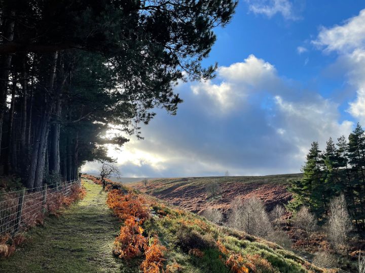 Langsett Footpath, Peak District - Gra'z PHOTOS - Photography ...
