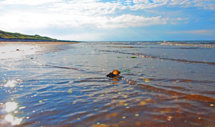 Pendine Sands - Gra'z PHOTOS - Photography, Landscapes & Nature, Beach ...