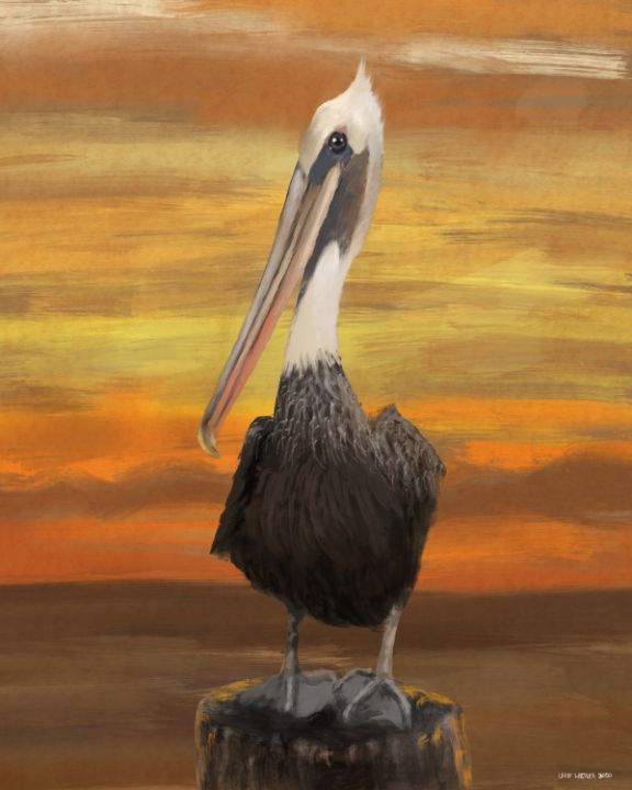 Florida Pelican - The Art of Larry Whitler - Paintings & Prints ...