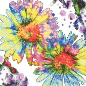 Bele Bele Rade Rade - Zeellion Arts - Paintings & Prints, Flowers ...