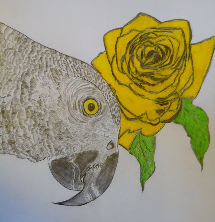 Yellow Rose and a Parrot - Nicole Lowery - Drawings & Illustration ...