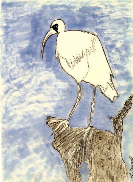 Bird on a Rock - Nicole Lowery - Drawings & Illustration, Animals ...