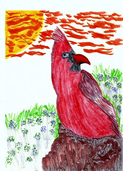 Red Cockatoo - Nicole Lowery - Drawings & Illustration, Animals, Birds ...