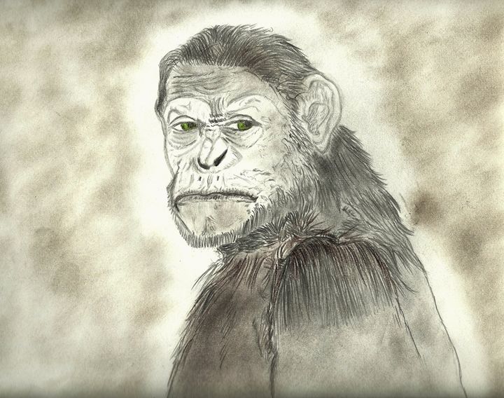 Very Mad Ape - Nicole Lowery - Drawings & Illustration, Animals, Birds ...