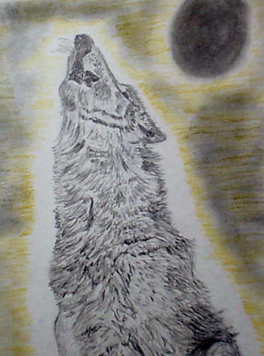 Howling Wolf - Nicole Lowery - Drawings & Illustration, Animals, Birds ...