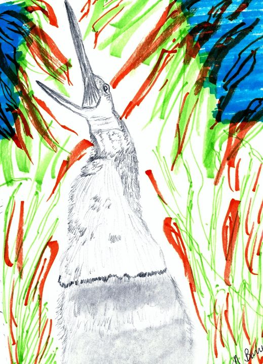 Screaming Bird - Nicole Lowery - Drawings & Illustration, Animals ...