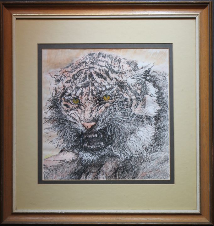 Bengal Tiger. Pen and Ink Sketch - Borwick Studio - Drawings ...