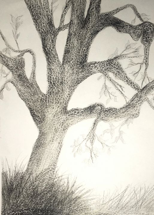 A lonely tree - Kayyart - Drawings & Illustration, Flowers, Plants ...
