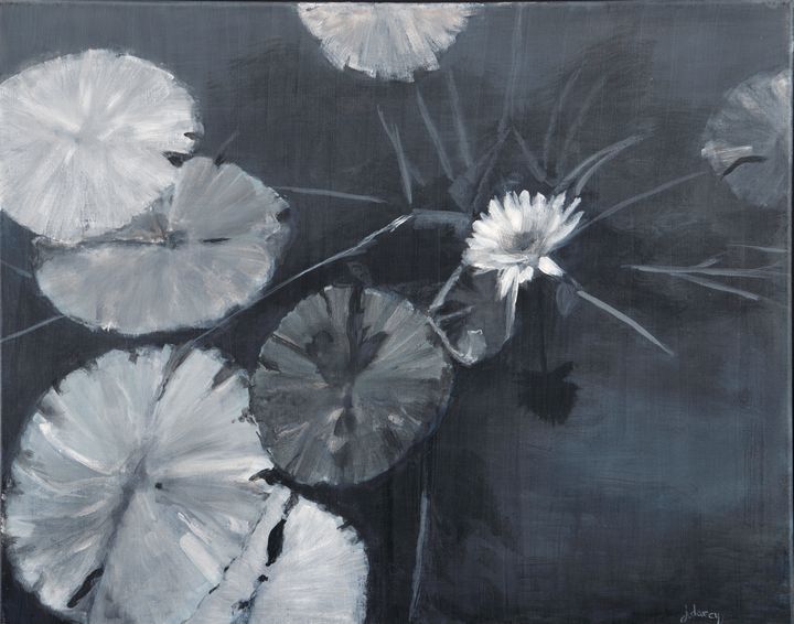 Jan Darcy Art - Paintings & Prints