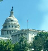 Chelsea in DC - Paintings & Prints, Photography