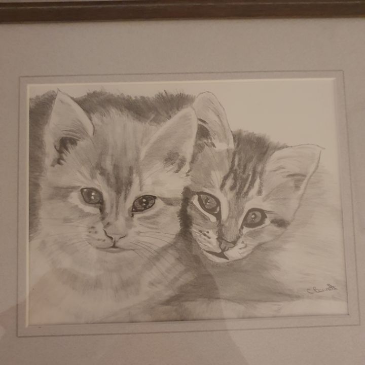 C.bennett - Drawings & Illustration